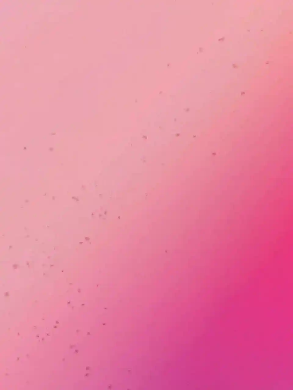 Exploring the Beautiful Gradient from Light Pink to Hot Pink
