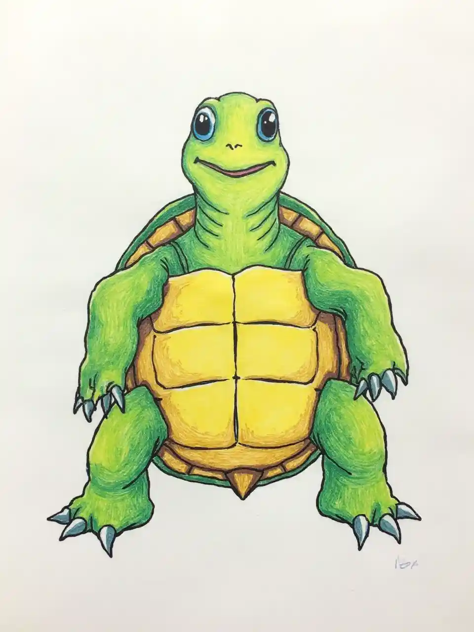Charming Drawing of a Front-Facing Turtle with Colorful Features