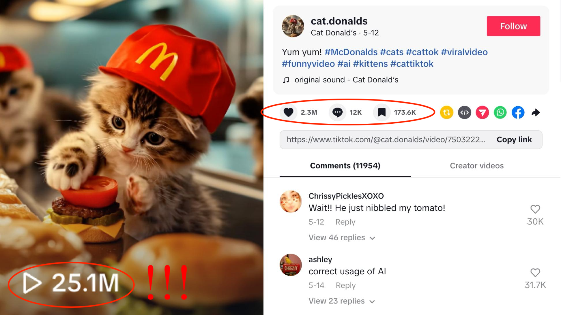 How to Make a Faceless AI Video of a McDonald's Cat with 25M Views?