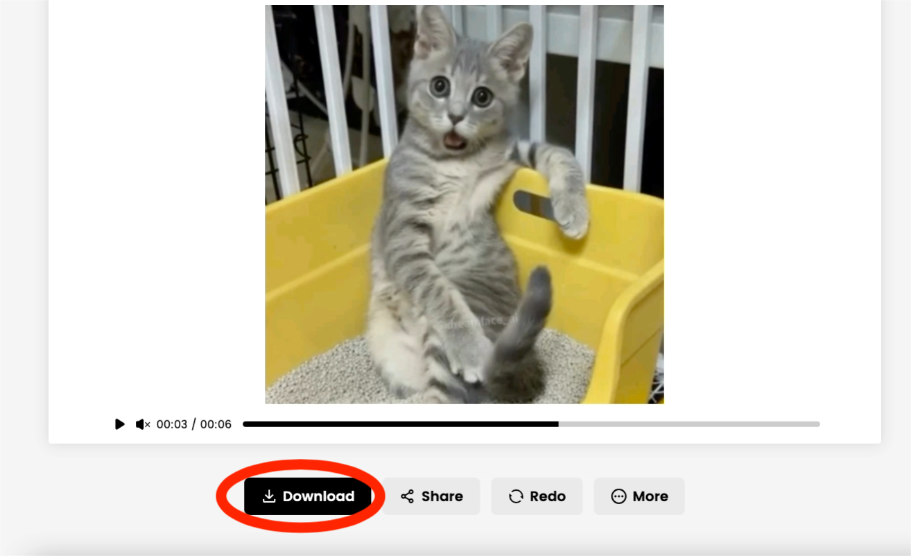 How to Create a Talking Cat Video That Got 1.2 Million Views: A ...